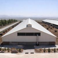 China Fireproof Anti-Corrosion Steel Structure Cattle Barn 6-25m Span for Dairy Cow Breeding for sale