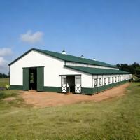 China Customizable Multi-Bay Steel Structure Cow Barn 6-25m Span Anti-Corrosion for Commercial Ranch for sale
