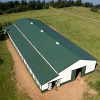 China Customizable Multi-Bay Steel Structure Cow Barn 6-25m Span Anti-Corrosion for Commercial Ranch for sale