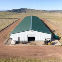 China Customizable Multi-Bay Steel Structure Cow Barn 6-25m Span for Commercial Ranch Milch Cow Shed for sale
