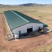 China Customizable Multi-Bay Steel Structure Cow Barn 6-25m Span for Commercial Ranch Milch Cow Shed for sale