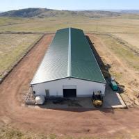 China Customizable Multi-Bay Steel Structure Cow Barn 6-25m Span for Commercial Ranch Milch Cow Shed for sale