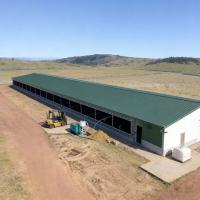 China Customizable Multi-Bay Steel Structure Cow Barn 6-25m Span for Commercial Ranch Milch Cow Shed for sale