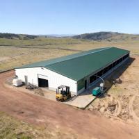 China Customizable Multi-Bay Steel Structure Cow Barn 6-25m Span for Commercial Ranch Milch Cow Shed for sale