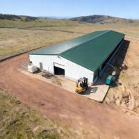 China Customizable Multi-Bay Steel Structure Cow Barn 6-25m Span for Commercial Ranch Milch Cow Shed for sale