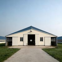 China Customizable Multi-Bay Steel Structure Cow Barn for Commercial Ranch Custom Size for sale