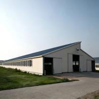 China Customizable Multi-Bay Steel Structure Cow Barn for Commercial Ranch Custom Size for sale