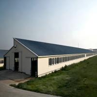 China Customizable Multi-Bay Steel Structure Cow Barn for Commercial Ranch Custom Size for sale