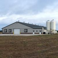 China Customizable Multi-Bay Steel Structure Cow Barn for Commercial Ranch Fast Installation for sale