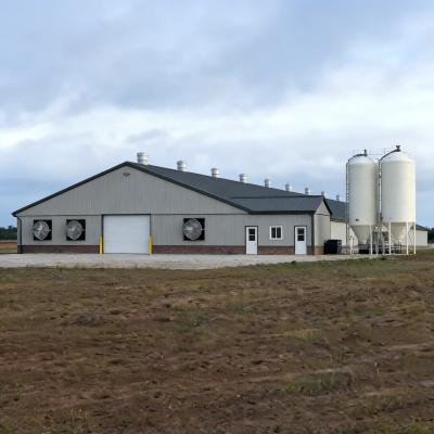 China Customizable Multi-Bay Steel Structure Cow Barn for Commercial Ranch Fast Installation for sale