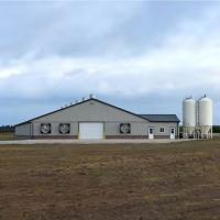 China Customizable Multi-Bay Steel Structure Cow Barn for Commercial Ranch Fast Installation for sale