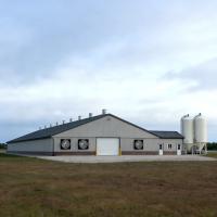 China Customizable Multi-Bay Steel Structure Cow Barn for Commercial Ranch Fast Installation for sale