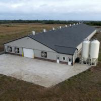 China Customizable Multi-Bay Steel Structure Cow Barn for Commercial Ranch Fast Installation for sale