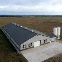 China Customizable Multi-Bay Steel Structure Cow Barn for Commercial Ranch Fast Installation for sale