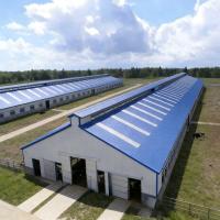 China Customizable Multi-Bay Steel Structure Cow Barn 6-25m Span Thermal Insulation for Commercial Ranch for sale