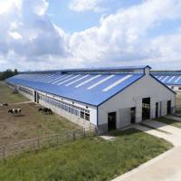 China Customizable Multi-Bay Steel Structure Cow Barn 6-25m Span Thermal Insulation for Commercial Ranch for sale