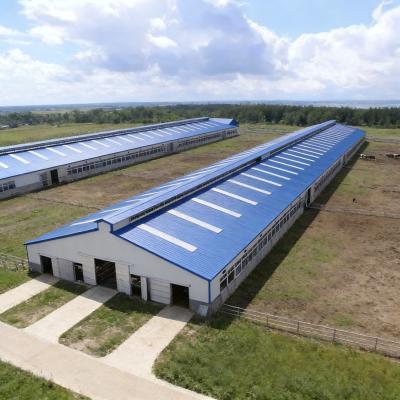 China Customizable Multi-Bay Steel Structure Cow Barn 6-25m Span Thermal Insulation for Commercial Ranch for sale