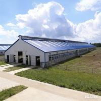 China Customizable Multi-Bay Steel Structure Cow Barn 6-25m Span Thermal Insulation for Commercial Ranch for sale
