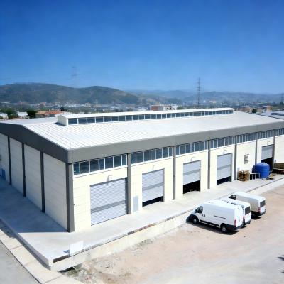China Durable Steel Structure Warehouse for Cold Chain & Dry Goods Storage Fireproof Anti-Corrosion Large Span for sale