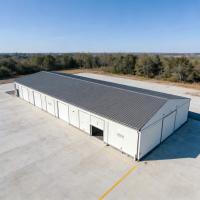 China Large Span Durable Steel Structure Warehouse for Cold Chain & Dry Goods Storage Logistics Storage for sale
