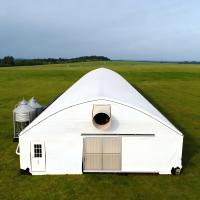China Fast Assemble Steel Structure Chicken House Economical Prefab Poultry Shed Large Span for sale