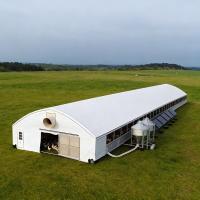 China Fast Assemble Steel Structure Chicken House Economical Prefab Poultry Shed Large Span for sale