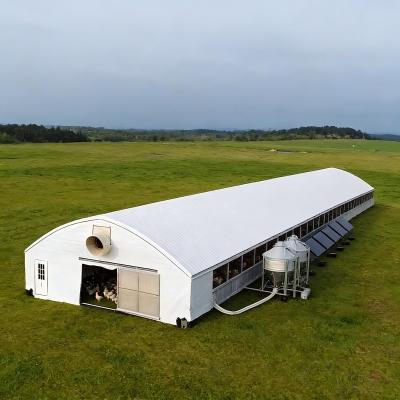 China Fast Assemble Steel Structure Chicken House Economical Prefab Poultry Shed Large Span for sale