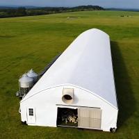 China Fast Assemble Steel Structure Chicken House Economical Prefab Poultry Shed Large Span for sale