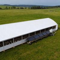 China Fast Assemble Steel Structure Chicken House Economical Prefab Poultry Shed Large Span for sale
