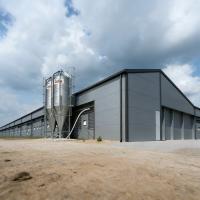 China Hot-Dip Galvanized Fast Assemble Steel Structure Chicken House Economical Prefab Poultry Shed Large Span for sale