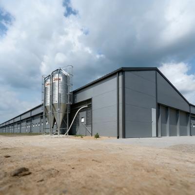 China Hot-Dip Galvanized Fast Assemble Steel Structure Chicken House Economical Prefab Poultry Shed Large Span for sale