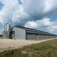 China Hot-Dip Galvanized Fast Assemble Steel Structure Chicken House Economical Prefab Poultry Shed Large Span for sale