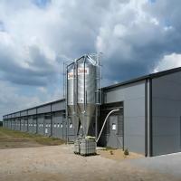 China Hot-Dip Galvanized Fast Assemble Steel Structure Chicken House Economical Prefab Poultry Shed Large Span for sale