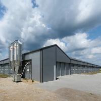 China Hot-Dip Galvanized Fast Assemble Steel Structure Chicken House Economical Prefab Poultry Shed Large Span for sale