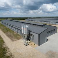 China Hot-Dip Galvanized Fast Assemble Steel Structure Chicken House Economical Prefab Poultry Shed Large Span for sale