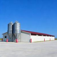 China Anti-Corrosion Galvanized Fast Assemble Steel Structure Chicken House Economical Prefab Poultry Shed for sale