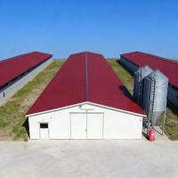China Anti-Corrosion Galvanized Fast Assemble Steel Structure Chicken House Economical Prefab Poultry Shed for sale