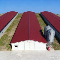 China Anti-Corrosion Galvanized Fast Assemble Steel Structure Chicken House Economical Prefab Poultry Shed for sale