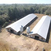 China Thermal Insulation Fast Assemble Steel Structure Chicken House Economical Prefab Poultry Shed for sale