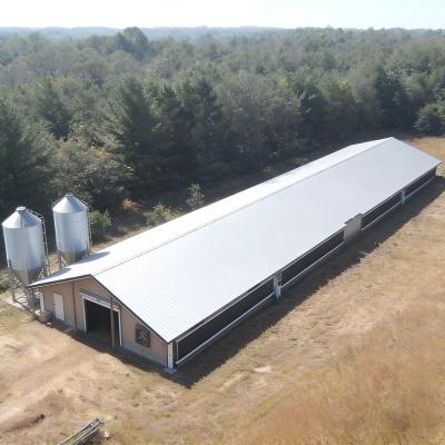China Thermal Insulation Fast Assemble Steel Structure Chicken House Economical Prefab Poultry Shed for sale
