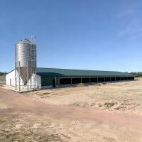 China Customizable Multi-Bay Steel Structure Cow Barn for Commercial Ranch Thermal Insulation Hot-Dip Galvanized for sale