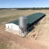 China Customizable Multi-Bay Steel Structure Cow Barn for Commercial Ranch Thermal Insulation Hot-Dip Galvanized for sale