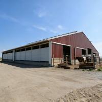 China Thermal Insulation Customizable Multi-Bay Steel Structure Cow Barn for Commercial Ranch Thermal Insulation for sale