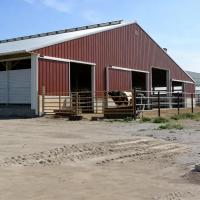 China Thermal Insulation Customizable Multi-Bay Steel Structure Cow Barn for Commercial Ranch Thermal Insulation for sale