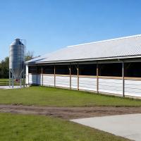China Wind/Snow Resistant Customizable Multi-Bay Steel Structure Cow Barn for Commercial Ranch Thermal Insulation for sale