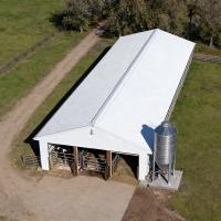 China Wind/Snow Resistant Customizable Multi-Bay Steel Structure Cow Barn for Commercial Ranch Thermal Insulation for sale