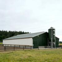 China Thermal Insulation Customizable Multi-Bay Steel Structure Cow Barn for Commercial Ranch Thermal Insulation for sale