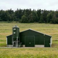 China Thermal Insulation Customizable Multi-Bay Steel Structure Cow Barn for Commercial Ranch Thermal Insulation for sale