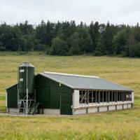 China Thermal Insulation Customizable Multi-Bay Steel Structure Cow Barn for Commercial Ranch Thermal Insulation for sale