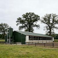 China Thermal Insulation Customizable Multi-Bay Steel Structure Cow Barn for Commercial Ranch Thermal Insulation for sale